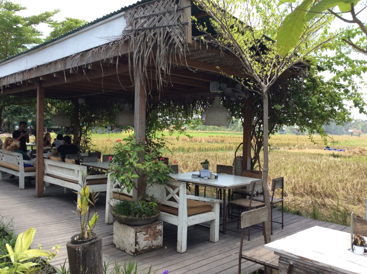 Nook Nook Bali, Нук, ресторан Nook Umalas, Ресторан на Бали