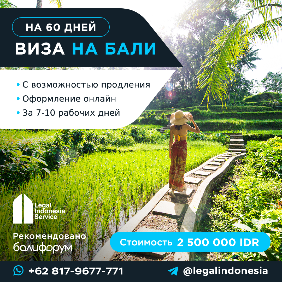 Электронная Виза B211A - Балифорум