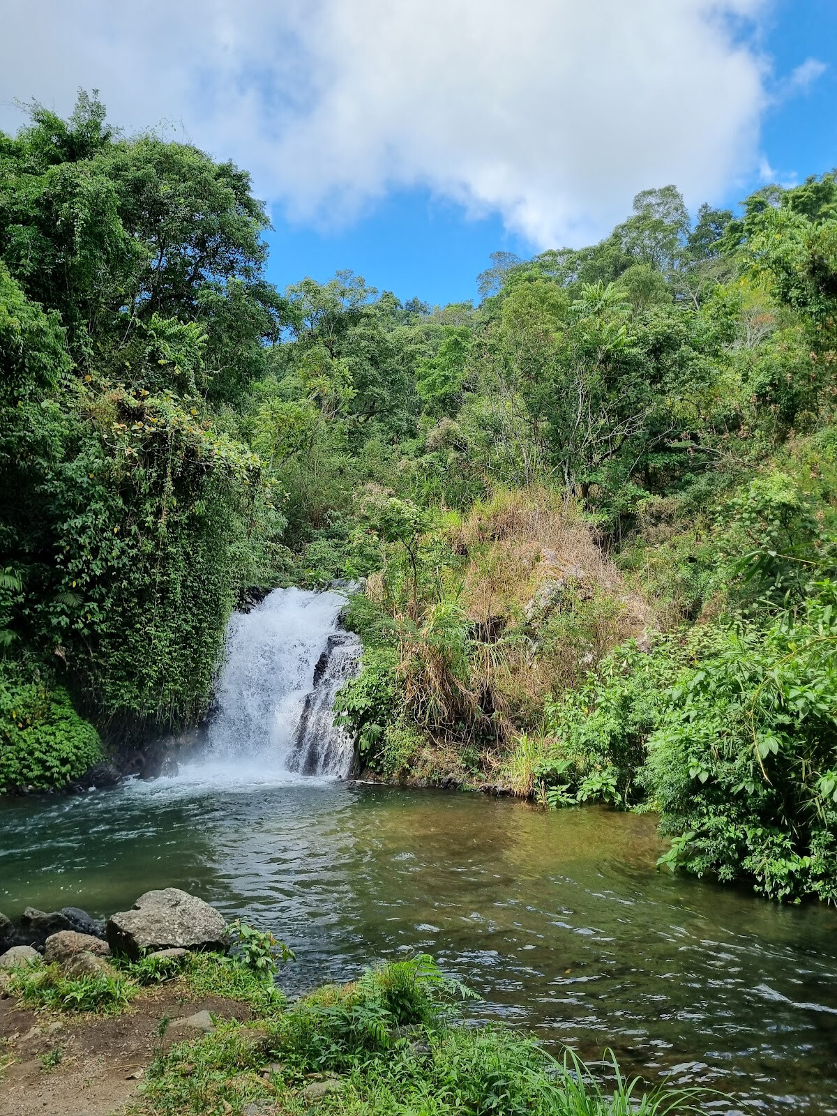 Cemara Waterfall Чемара, Водопад на Бали